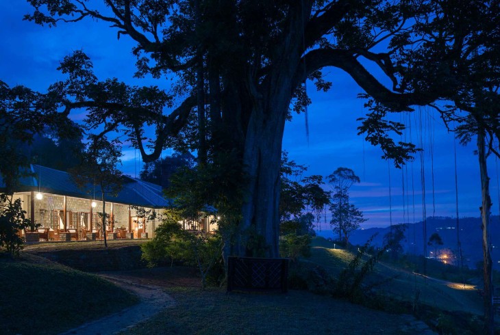 Ceylon Tea Trails in Hatton - Sri Lanka Travel